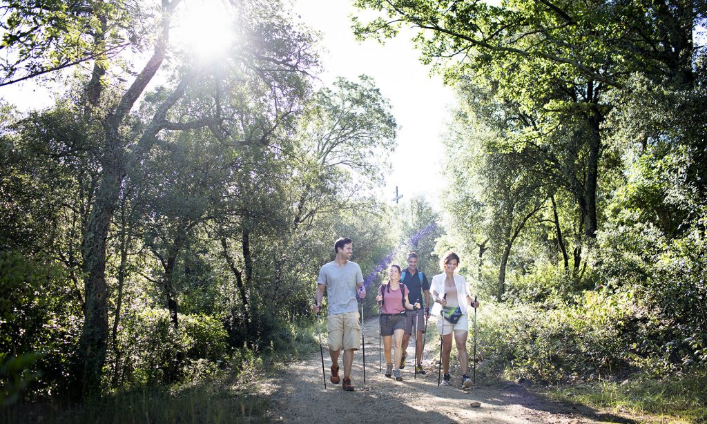 COMMENT PRATIQUER UNE VRAIE MARCHE ACTIVE – Magazine Thermal